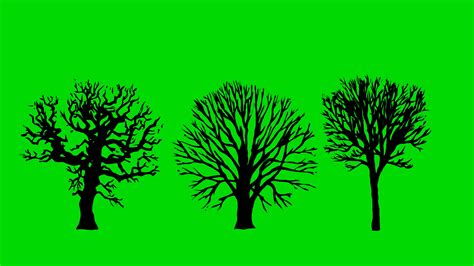 Tree Background Images 48 Pictures WallpaperSet