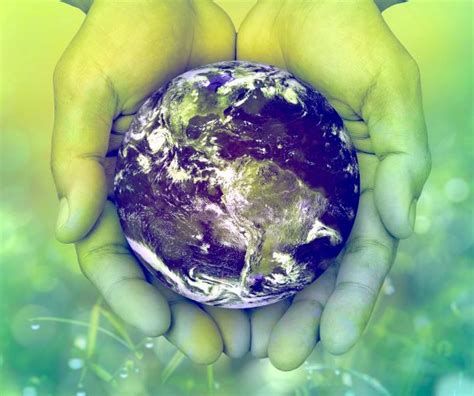 Seaweed Macroalgae Biopolymers A Sustainable Alternative To Conventional Plastics Blu3