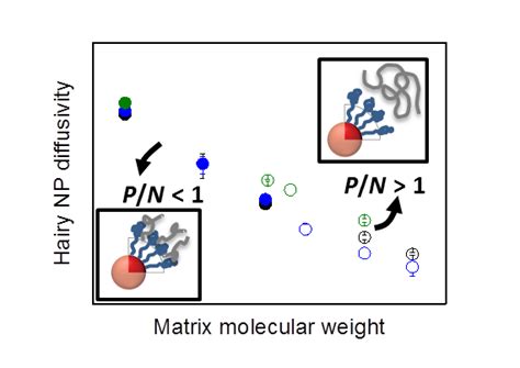 Report Nanosphere And Nanorod Diffusion In Polymer Melts Th Annual Report On Research Under