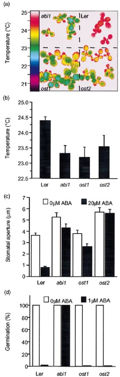 Xanthoxin Dehydrogenase Activity Semantic Scholar