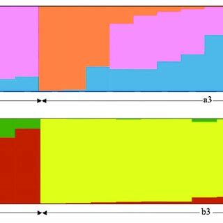 Admixture Bar Plot Estimation Of The Dataset The Population Structure