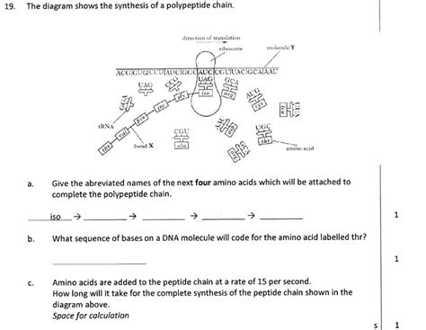 Consolidated Unit 1 Nab Revision Questions Higher Biology Unit 1 Revision