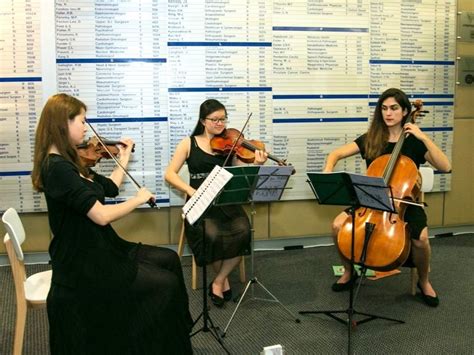 Highlight Strings Quality String Ensemble Artist