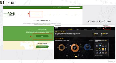 Adni数据库的使用与脑影像数据下载 Csdn博客