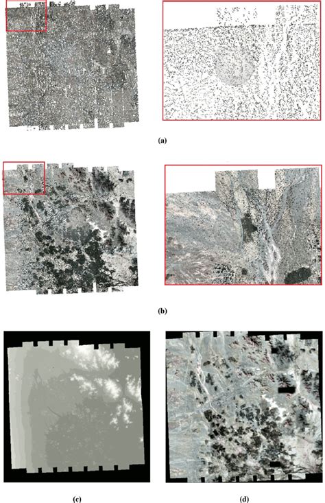 a sparse point cloud extracted from digital stereo images b dense