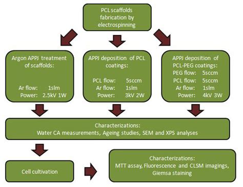 Different Treatments And Experimental Conditions Used For The Pcl Download Scientific Diagram