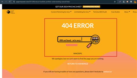 What Is Broken Link Building How To Do It Right In 2025