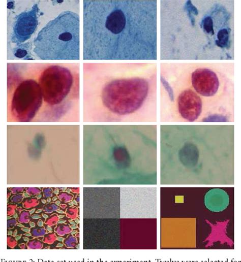 figure 2 from colour image segmentation using homogeneity method and data fusion techniques