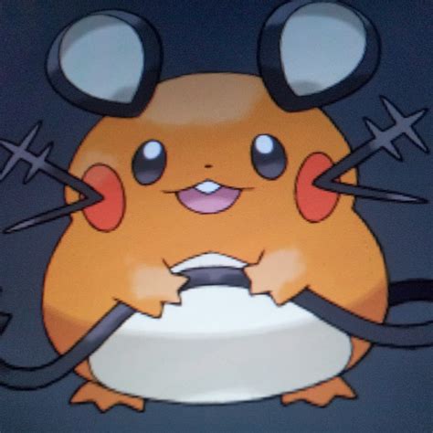 Hunter Ballard Youtube