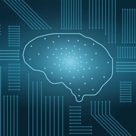 Code Mixed Offensive [bangla English Hindi] Kaggle