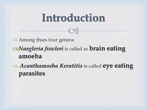 Amoeba Infecting Brain And Eyes Ppt