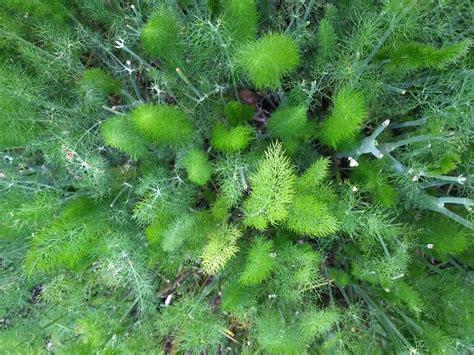 This Tropical Paradise Keyboard Key R Miniworlds