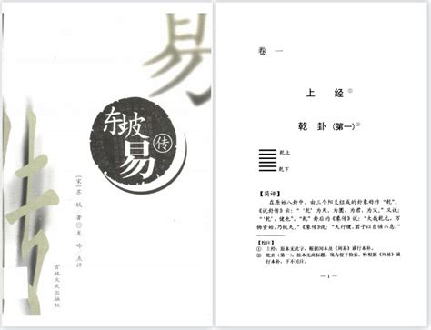 东坡易传 龙吟点评