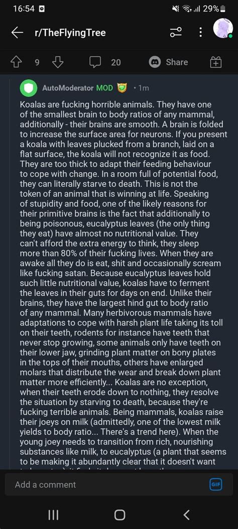 Why Automod Hates So Much Koalas R Freindgroup