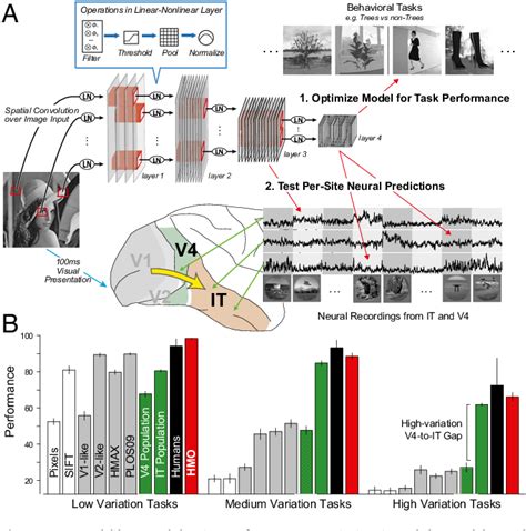 figure 2 from performance optimized hierarchical models predict neural