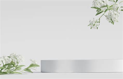 3d 배경 흰색 연단 디스플레이 그림자가있는 꽃 가지 그린 화장품 또는 미용 제품 홍보 단계 받침대 추상 최소 3d 렌더링 복사 공간 모형 여름 광고 배경 강단에 대한 스톡