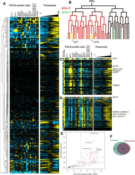Clustering Of Enrichment A Average Enrichment For Genes Grouped Into