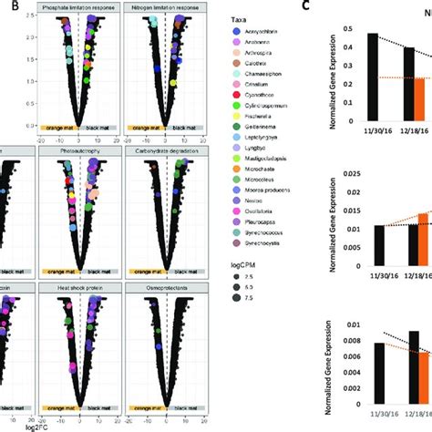 Visualization Of Networks Of Co Expression Modules As Determined By