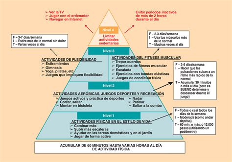 EducaciÓn FÍsica Ies Baleares 3º Eso La PirÁmide De La Actividad
