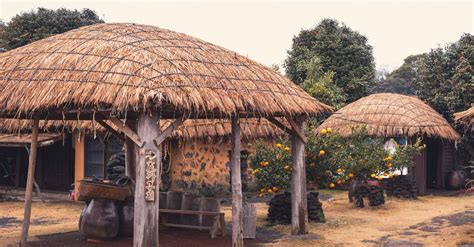 집 밖의 감귤류 건축 계절별 오렌지 고구려 스타일 농업 농업 마을 농촌 풍경 대한민국 독특한 아키텍처 돌담 러스틱 레몬 트리 마을 분위기 문화