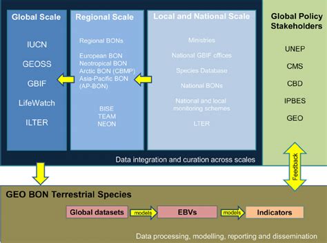 Regional Scale Of Analysis Def At Hunter Hunter Blog