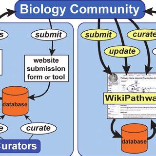 Two Models For Managing Biological Data Download Scientific Diagram