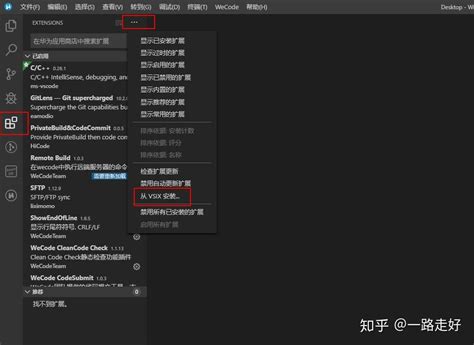 Vscode从外部安装插件（如leetcode） 知乎