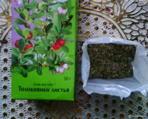 Лекарственные травы КРАСНОГОРСКЛЕКСРЕДСТВА Толокнянки листья - «Лучшее ...