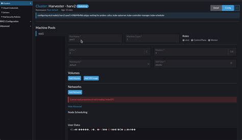 Bug User Data And Network Data Display Incorrectly When Provisioning Rke2 Via Terraform
