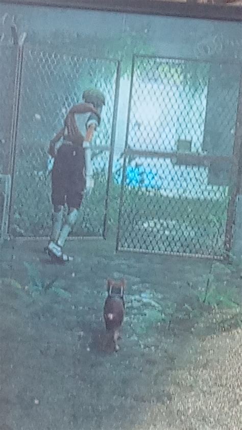Please Help Me Get Past This Bit I Need To Get Past The 2 Slenitls Stray