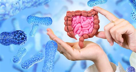 10 Captivating Facts About Gut Microbiota
