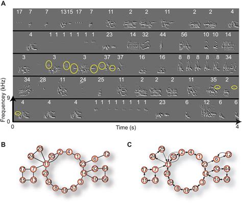Song Fragment From A California Thrasher Recording A Sound Download Scientific Diagram