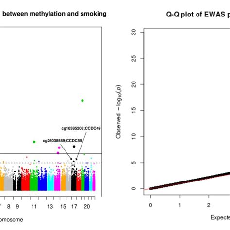 A Manhattan Plot Showing The P Values Of Genome Wide Cpg Sites X Axis