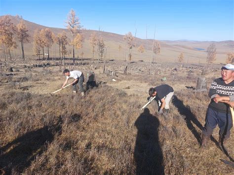Ойжуулалт нөхөн сэргээлтийн ажил хийгдэв