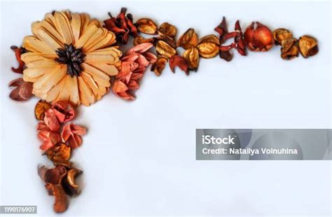 말린 꽃 잎과 나무 껍질 인사말 카드 초대장 달력템플릿의 다양한 프레임 텍스트의 여유 공간입니다 가을에 대한 스톡 사진 및 기타 이미지 Istock