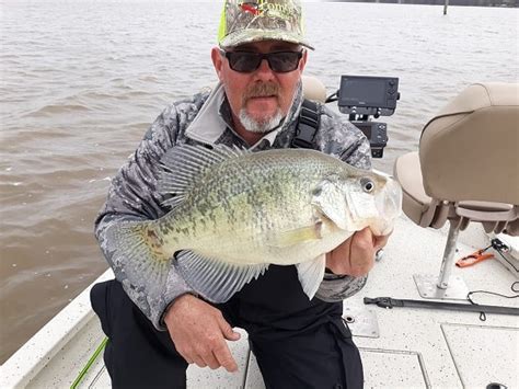 When Do Crappie Spawn Temperatures Times Locations