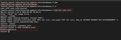 An Actionable Guide To Owasp Masvs V2 Appknox