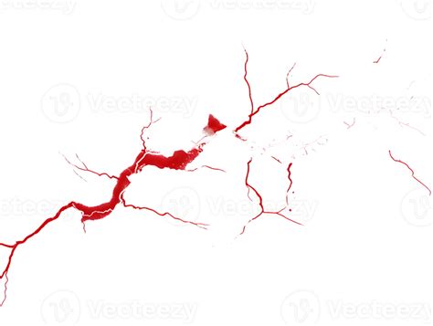 Intricate Representation Of Neural Connections In Vibrant Red Showcasing The Complexity Of Brain