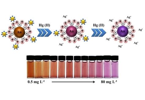 Molecules Free Full Text Highly Sensitive And Selective Colorimetric Sensor Of Mercury Ii