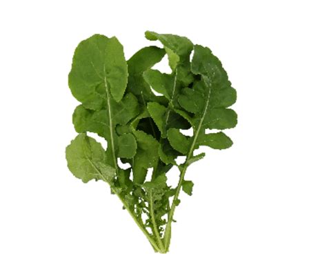 專屬賣場 芝麻葉 合併出貨 蔬食樂SoothRoad