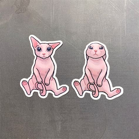 Bingus Naked Cat Sphynx Hairless Cat Kitty Etsy Canada