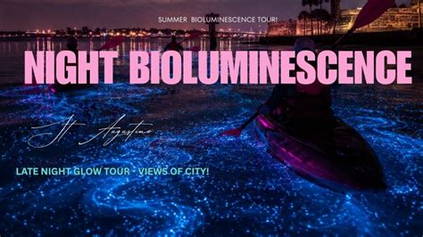 St Augustine Bioluminescence Tours
