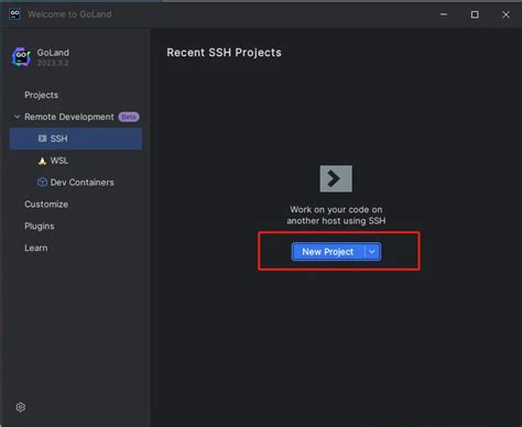 Goland远程开发ide：使用ssh远程连接服务器进行云端编程 阿里云开发者社区