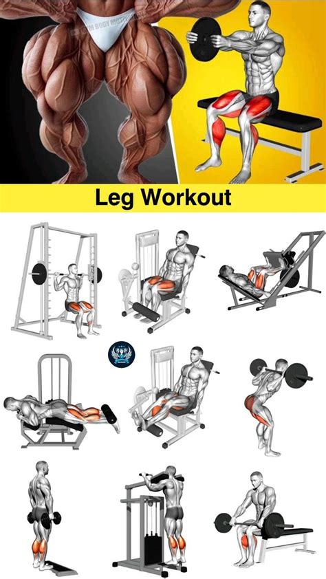 Most Effective Leg Workout Leg Workout Leg Workout Routine