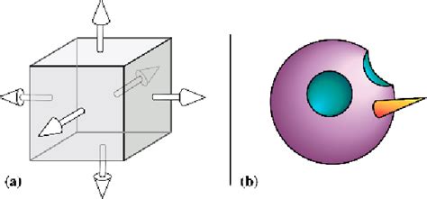 table 1 from a dataset and explorer for 3d signed distance functions