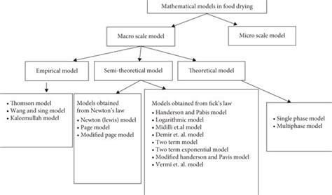 Classification Of Mathematical Models In Food Drying 6 26 2931 Download Scientific Diagram