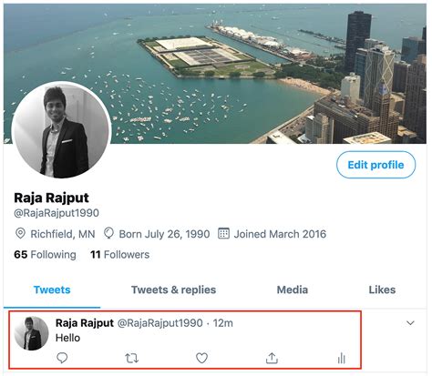 How To Make Calls To Twitter Apis Using Postman Client