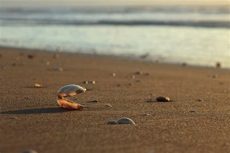 The Model Performance Mismatch Problem And What To Do About It Machinelearningmastery