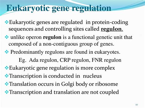Ppt Prokaryotic Gene Expression And Regulation And Eukaryotic Gene