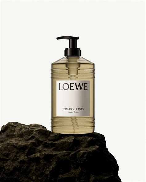 El Jabón Líquido Loewe Se Asienta Sobre Una Roca Texturizada Foto Imagen De Roca Gratuita En